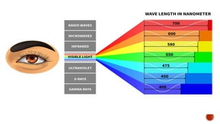 Light presentation for grade 5 | PPTX