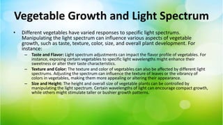 light requirement for hydroponics plants.pptx