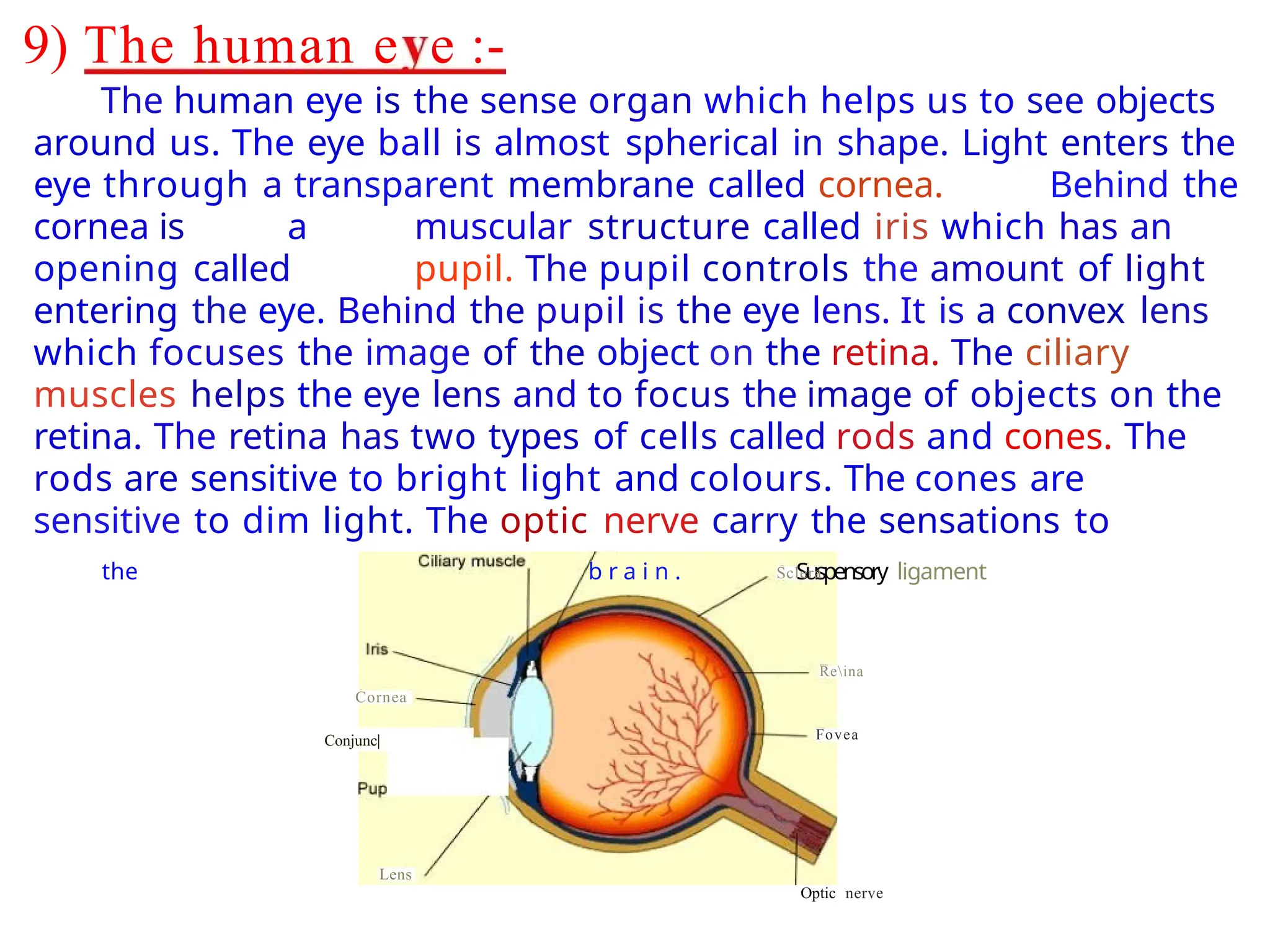 class 8 teaching ppt for chapter light .pptx