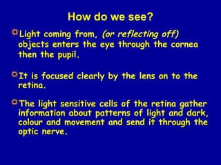 Light.ppt (Grade 7 checkpoint Material -- | PPT