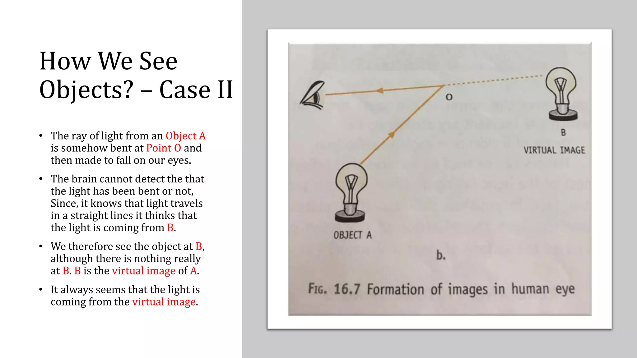 Light class 7 | PPTX