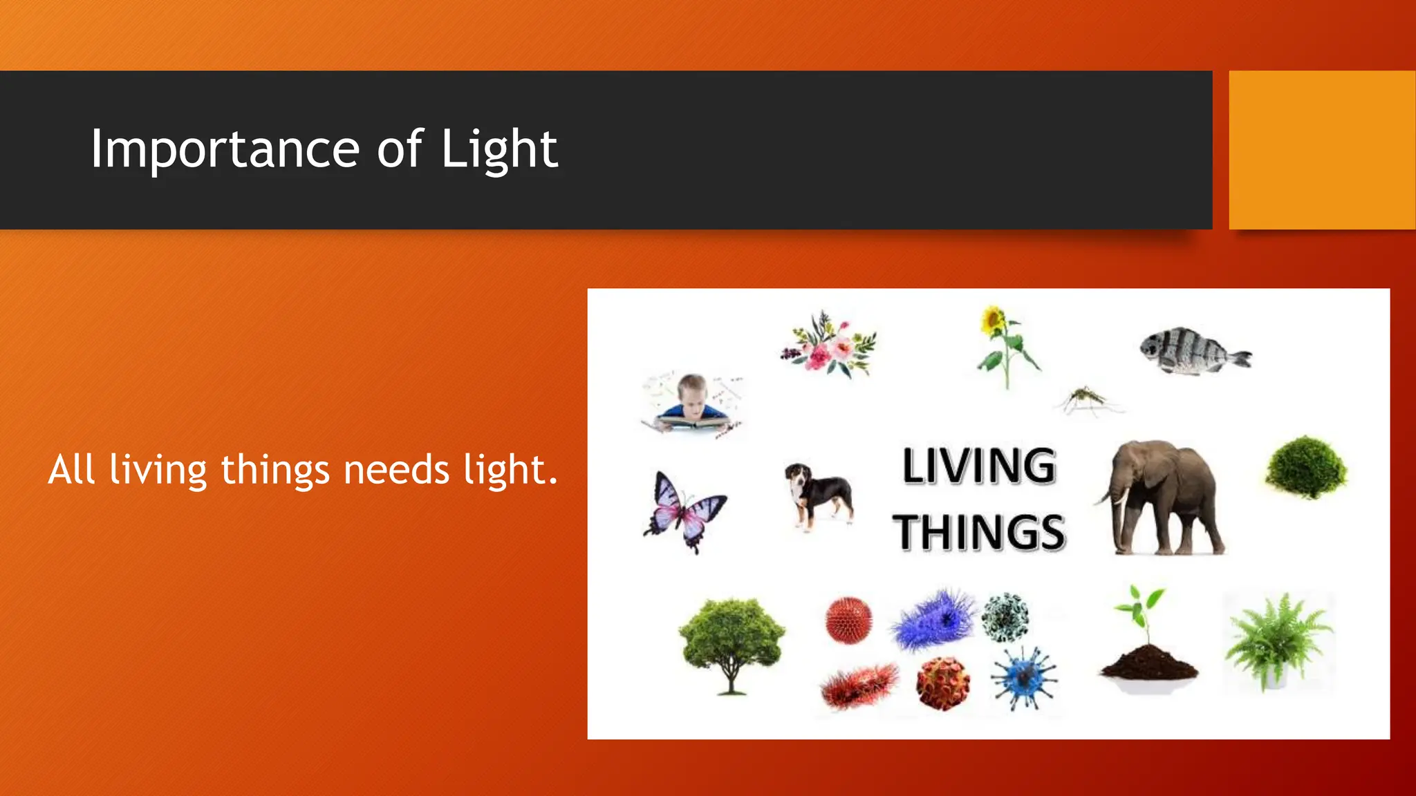 Light-Energy, Uses, Importance, Characteristics and Sources PPT | PPTX