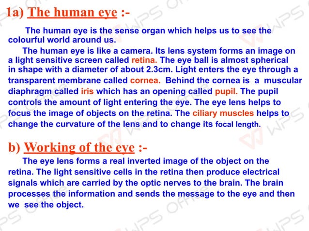 LIGHT-HUMAN EYE AND THE COLOURFUL WORLD.ppt.pdf