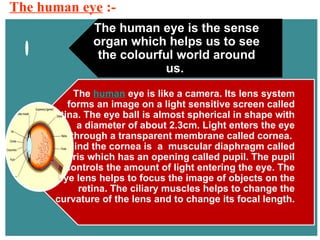 LIGHT-HUMAN EYE AND THE COLOURFUL WORLD final.pptx
