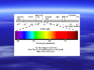 Light In The Greenhouse | PPT