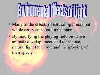 Light PowerPoint | PPT