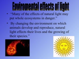 Light PowerPoint | PPT | Indoor Environmental Quality | Home & Garden