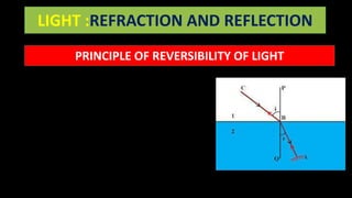 LIGHT RAY AND WAVE OPTICS CLASS 1O.pptx