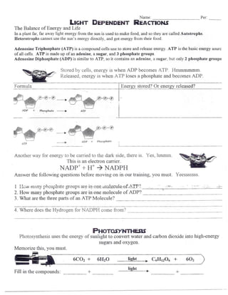 Photosynthesis light dependent and independent reactions | PDF