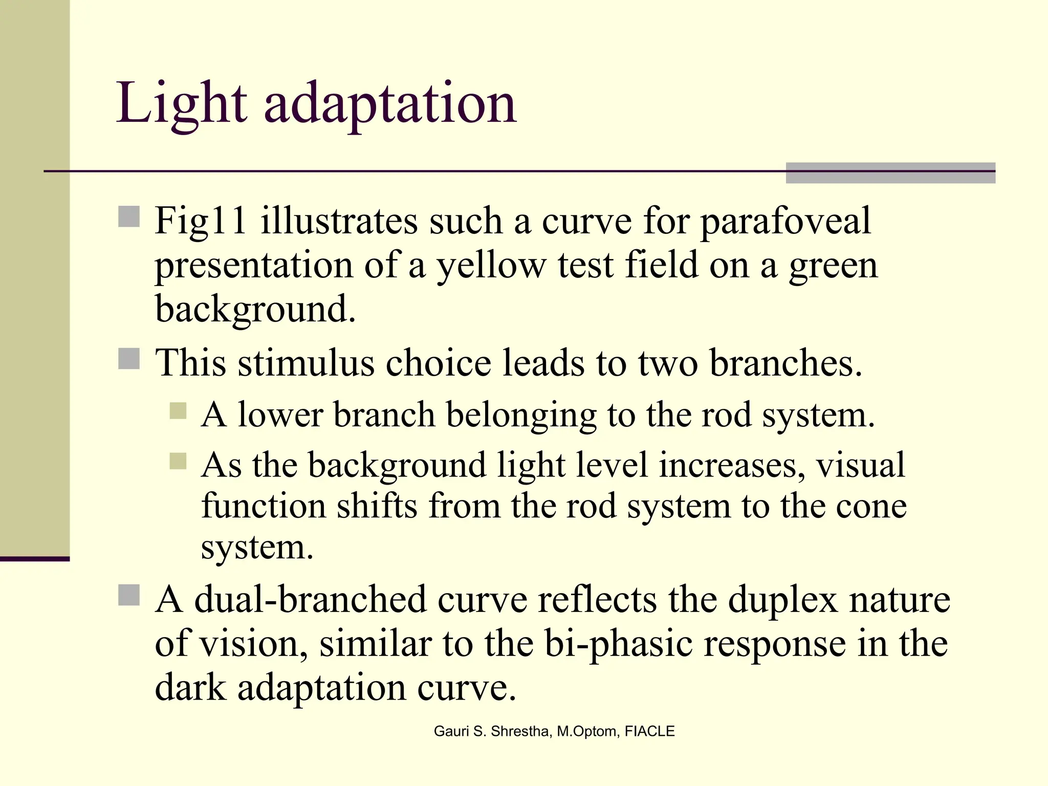 Light and dark adaptation | PPT