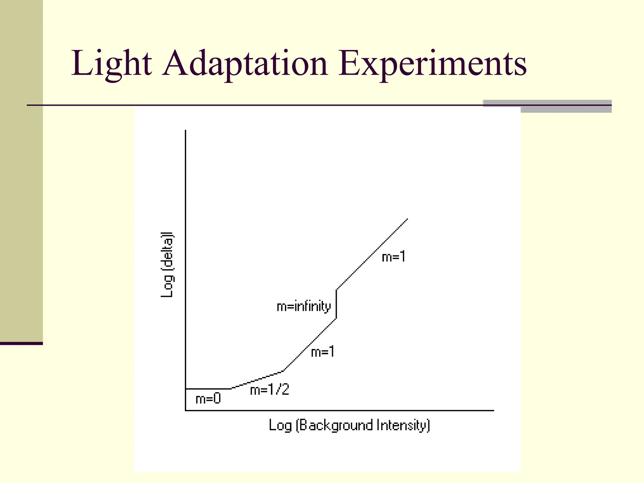 Light and dark adaptation | PPT