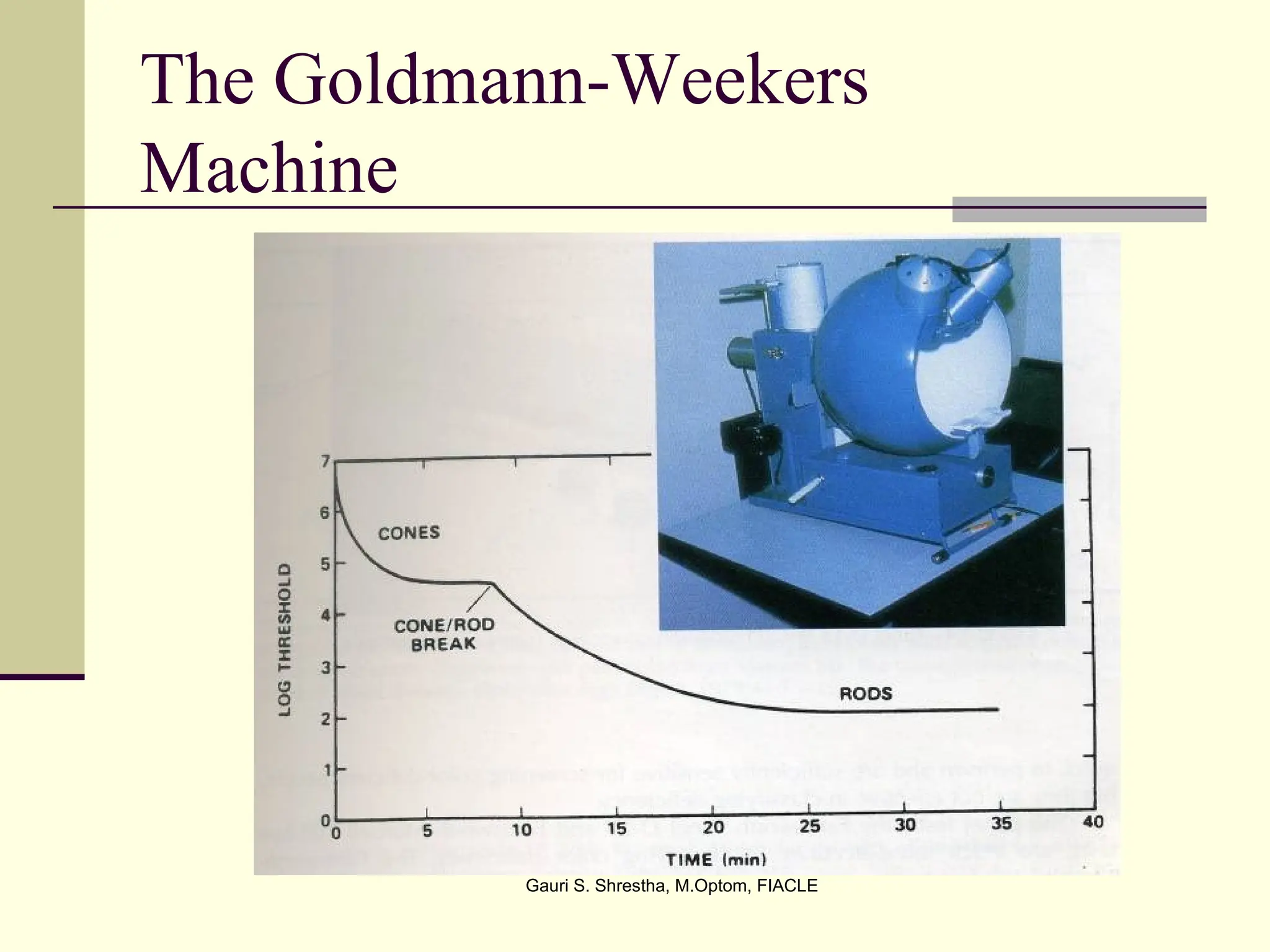 Light and dark adaptation | PPT