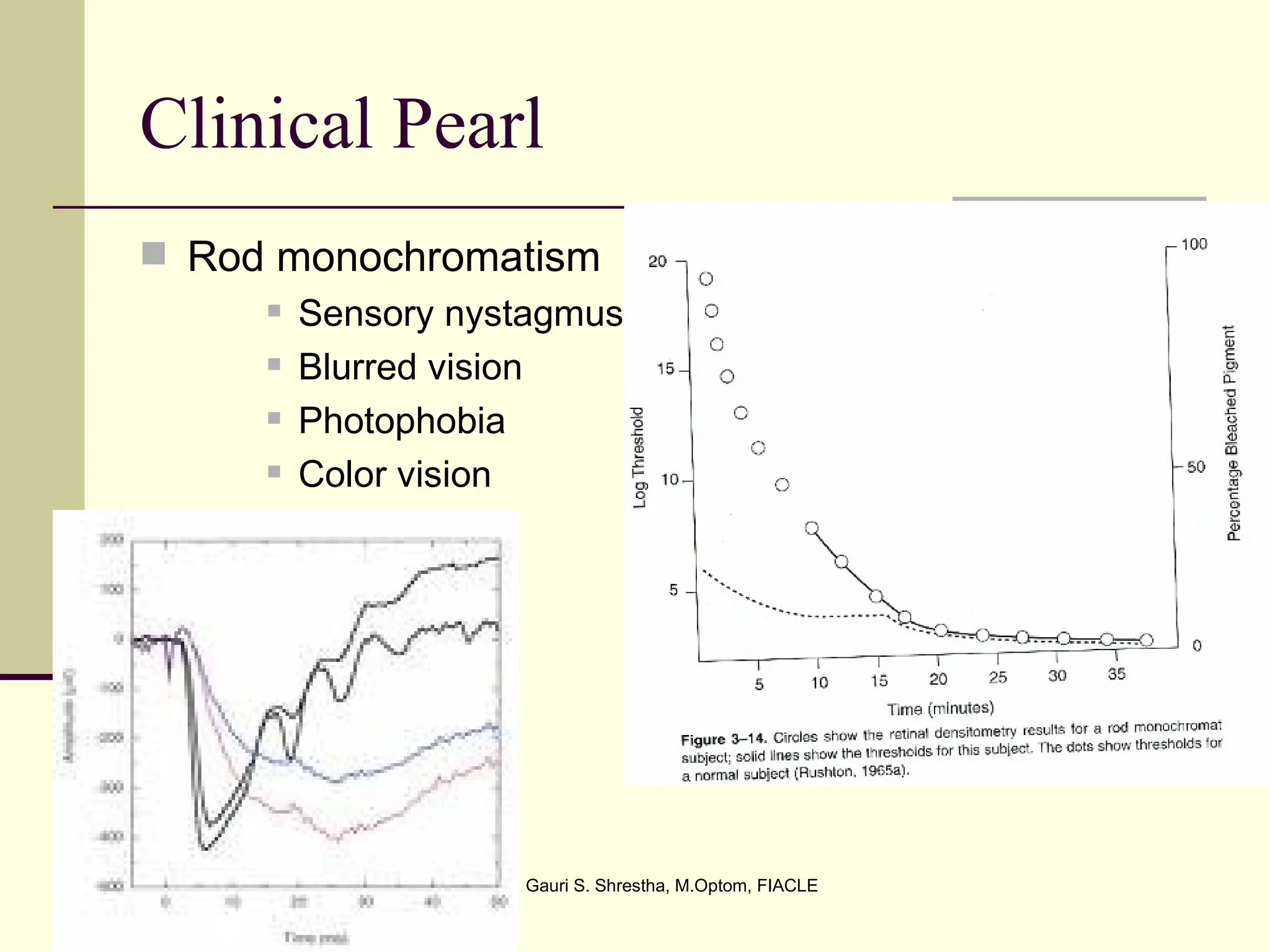 Light and dark adaptation | PPT
