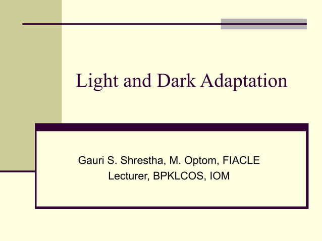 Light and dark adaptation | PPT