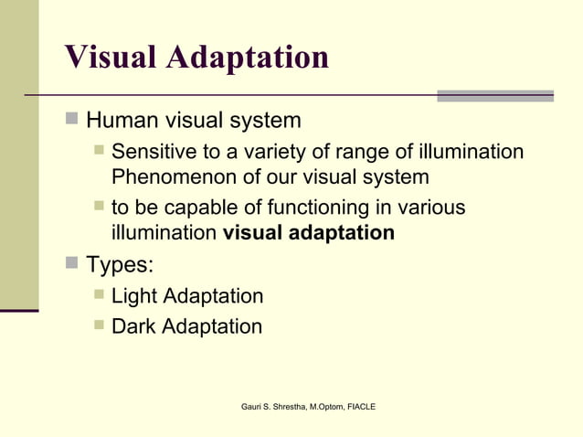 Light and dark adaptation | PPT