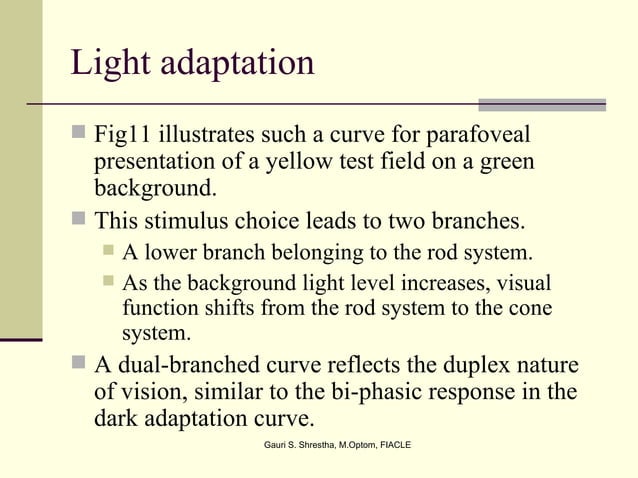 Light and dark adaptation | PPT