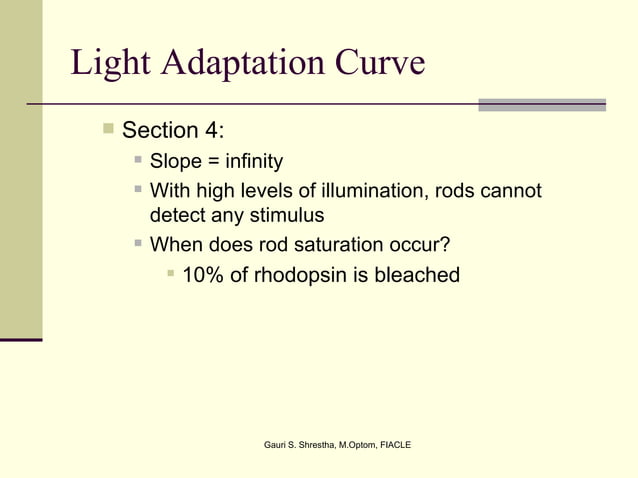 Light and dark adaptation | PPT