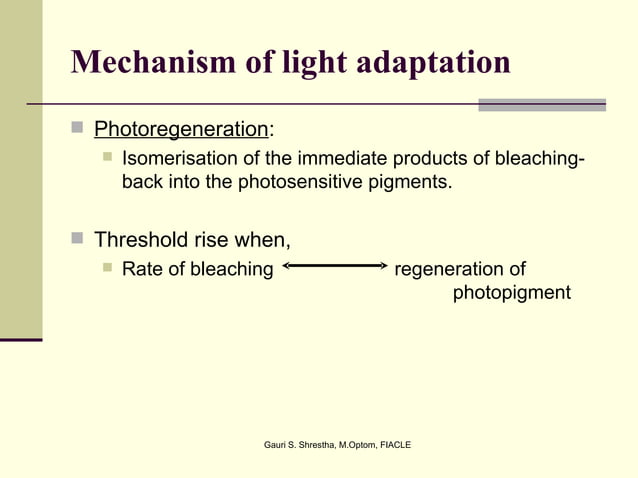 Light and dark adaptation | PPT