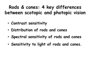 Light and Dark Adaptation | PPTX