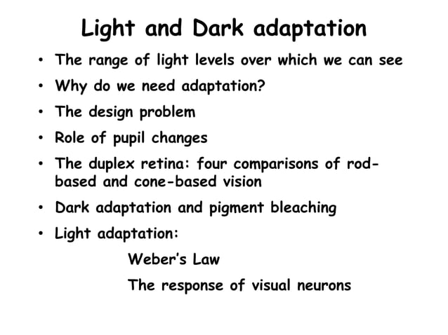 Light and Dark Adaptation | PPTX