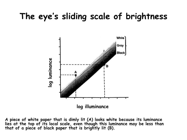 Light and Dark Adaptation | PPTX