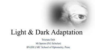 Light and dark adaptation .pdf