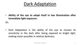 Light and dark adaptation .pdf