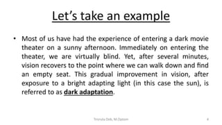Light and dark adaptation .pdf