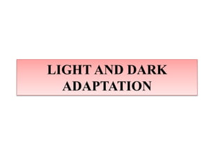 Light and dark adaptation chinnu | PPTX