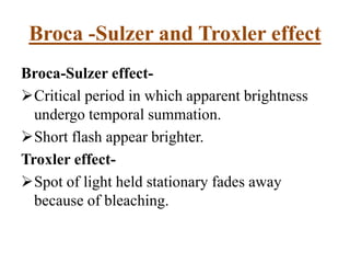 Light and dark adaptation chinnu | PPTX