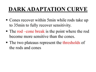 Light and dark adaptation chinnu | PPTX