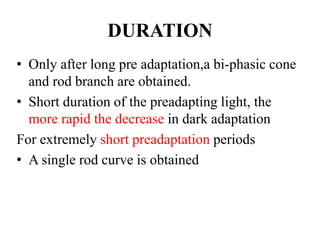 Light and dark adaptation chinnu | PPTX
