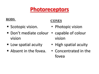 Light and dark adaptation chinnu | PPTX