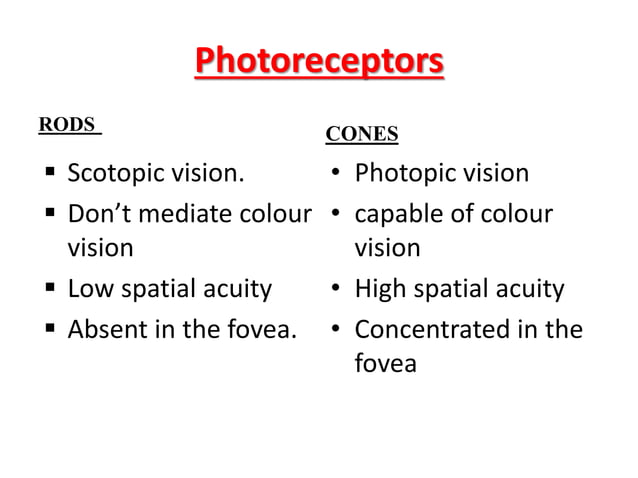 Light and dark adaptation chinnu | PPTX