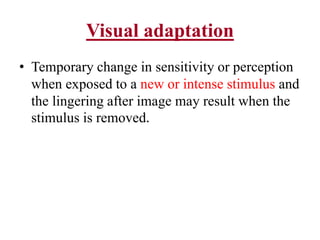 Light and dark adaptation chinnu | PPTX