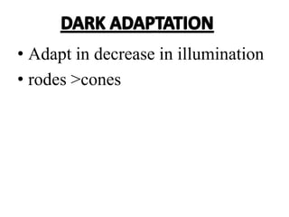 Light and dark adaptation chinnu | PPTX