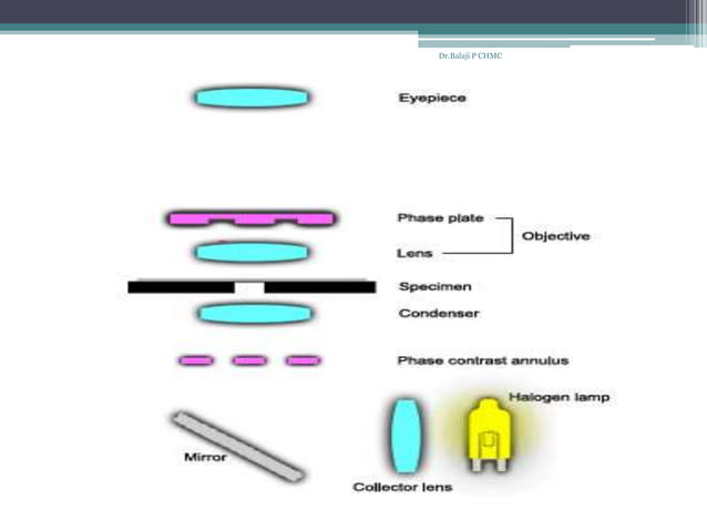 Light and Dark field microscopy | PPTX