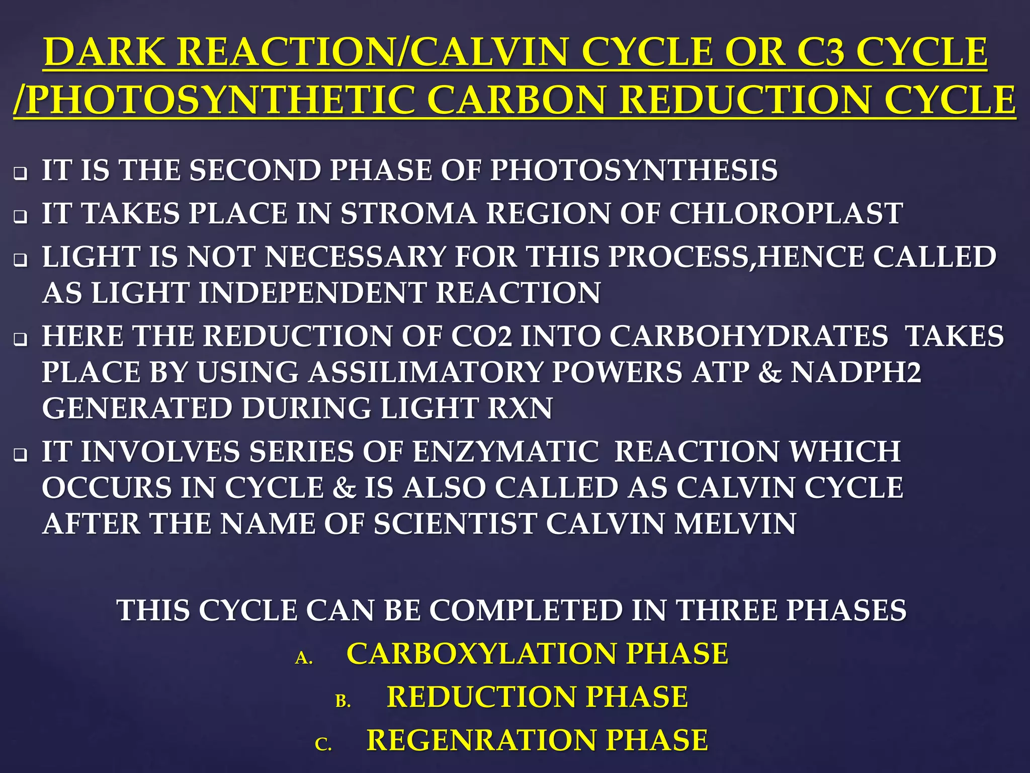 LIGHT AND DARK REACTION.pptx