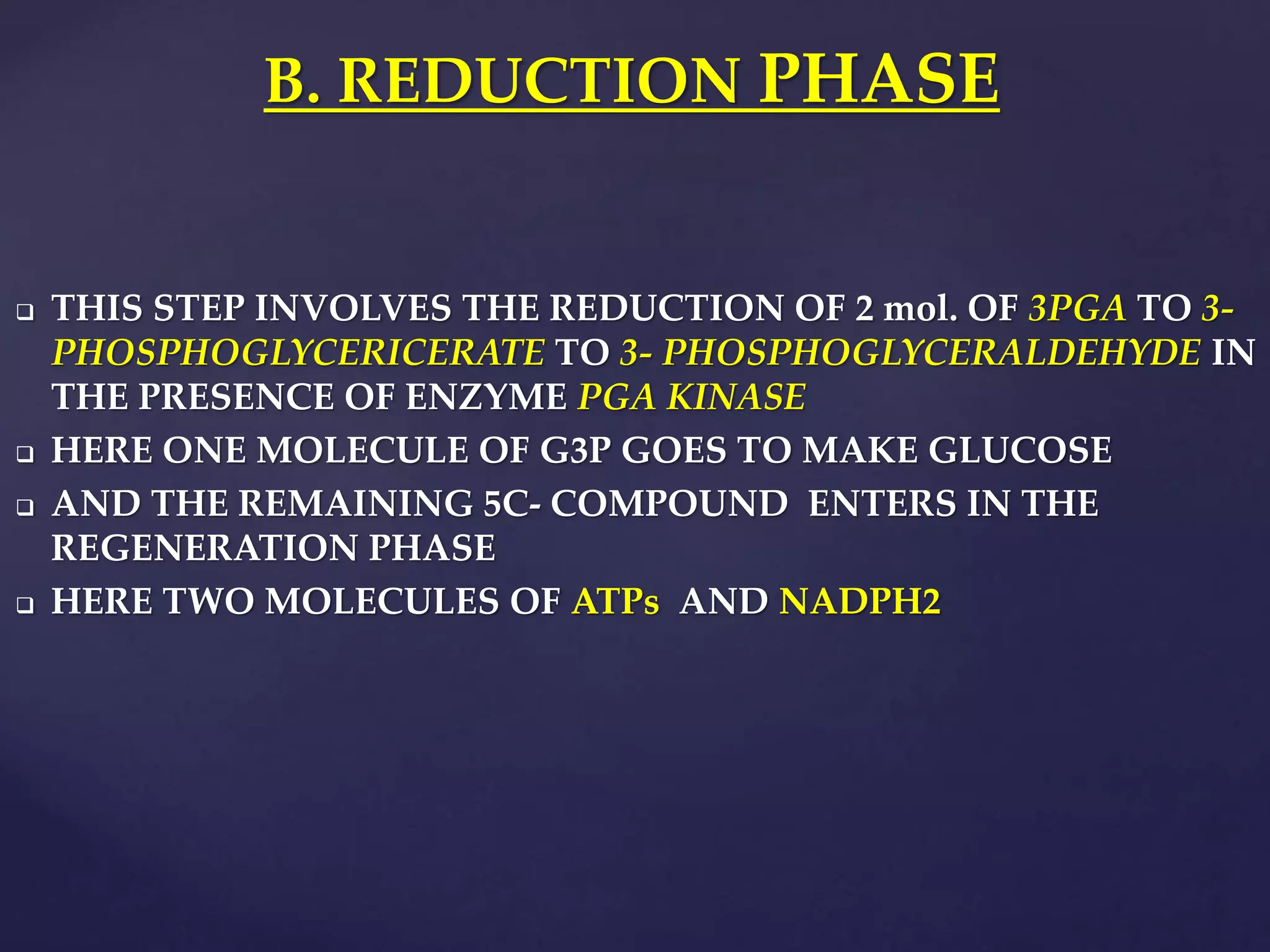 LIGHT AND DARK REACTION.pptx