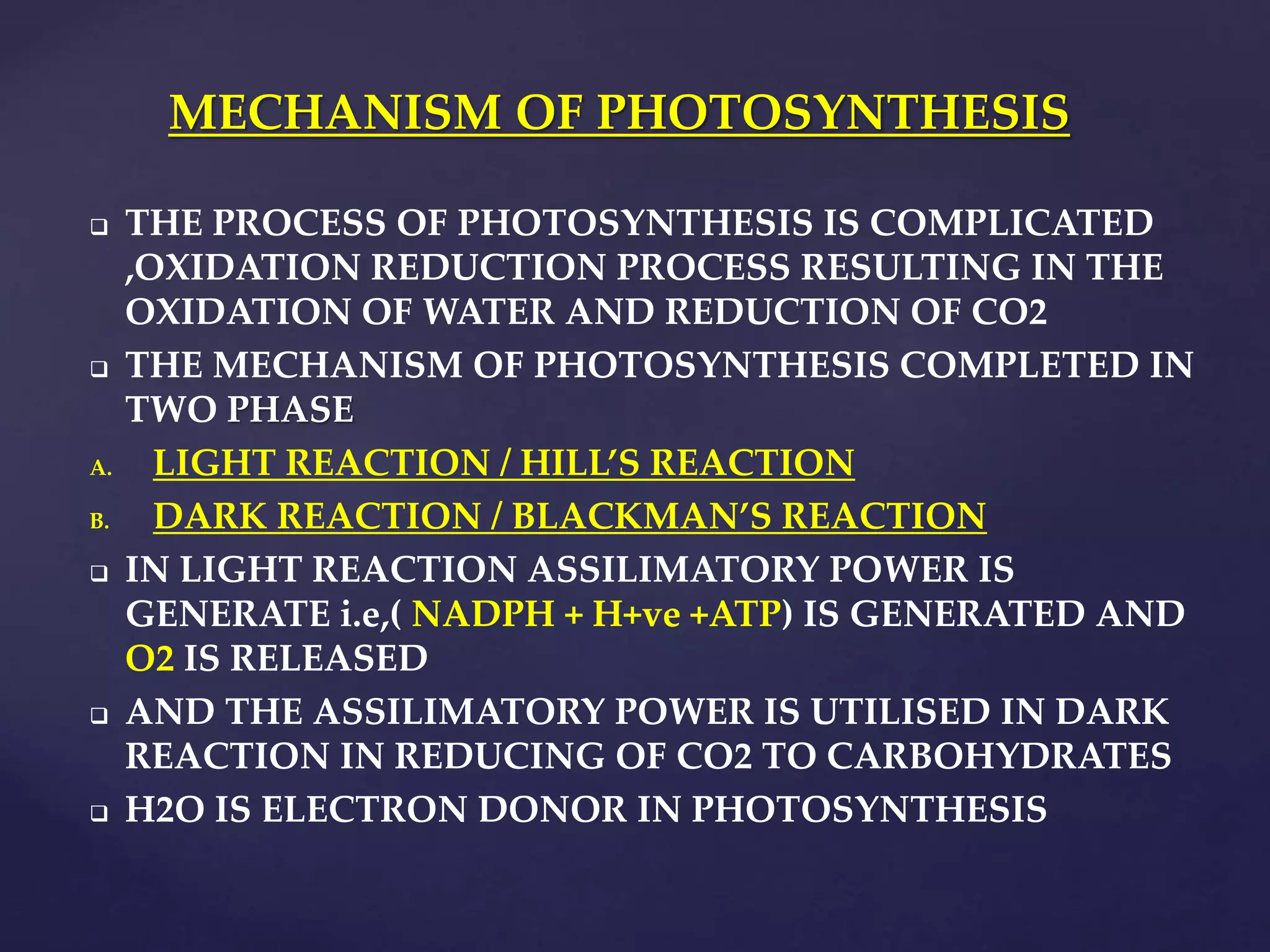 LIGHT AND DARK REACTION.pptx