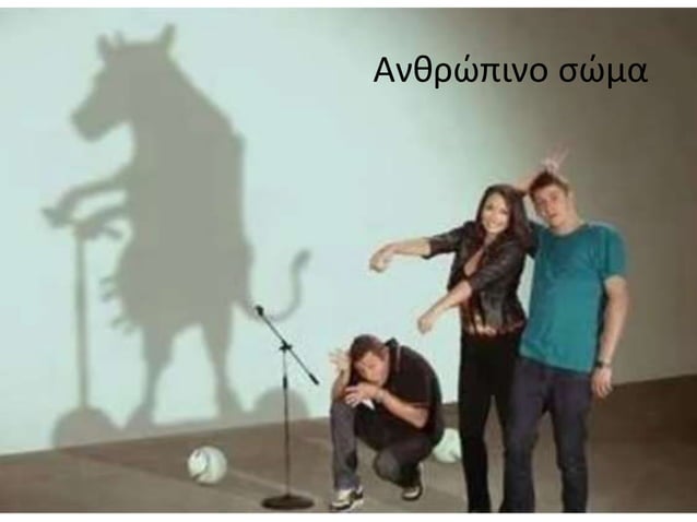 Light and shadow | PPT