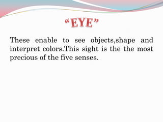 Light and sight | PPT