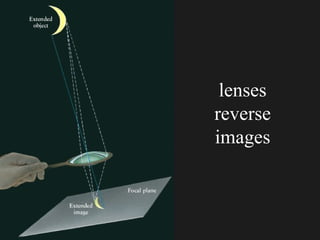 light and telescopes astronomy science.ppt
