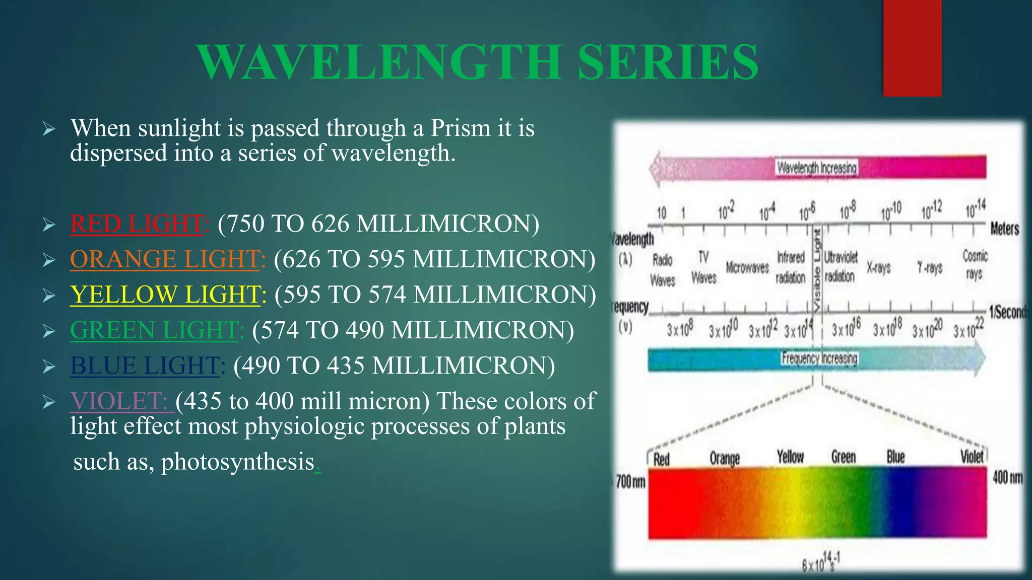 Light and temperature, light and temperature as ecological factors | PPTX