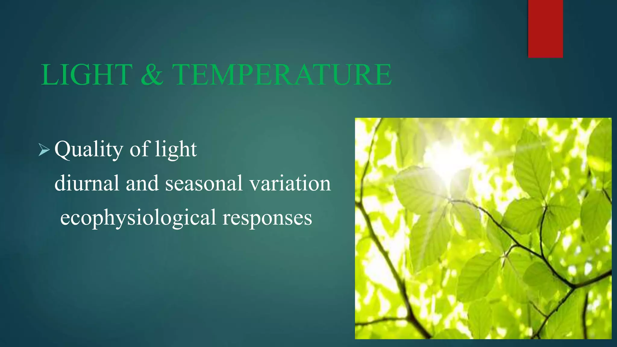 Light and temperature, light and temperature as ecological factors | PPTX