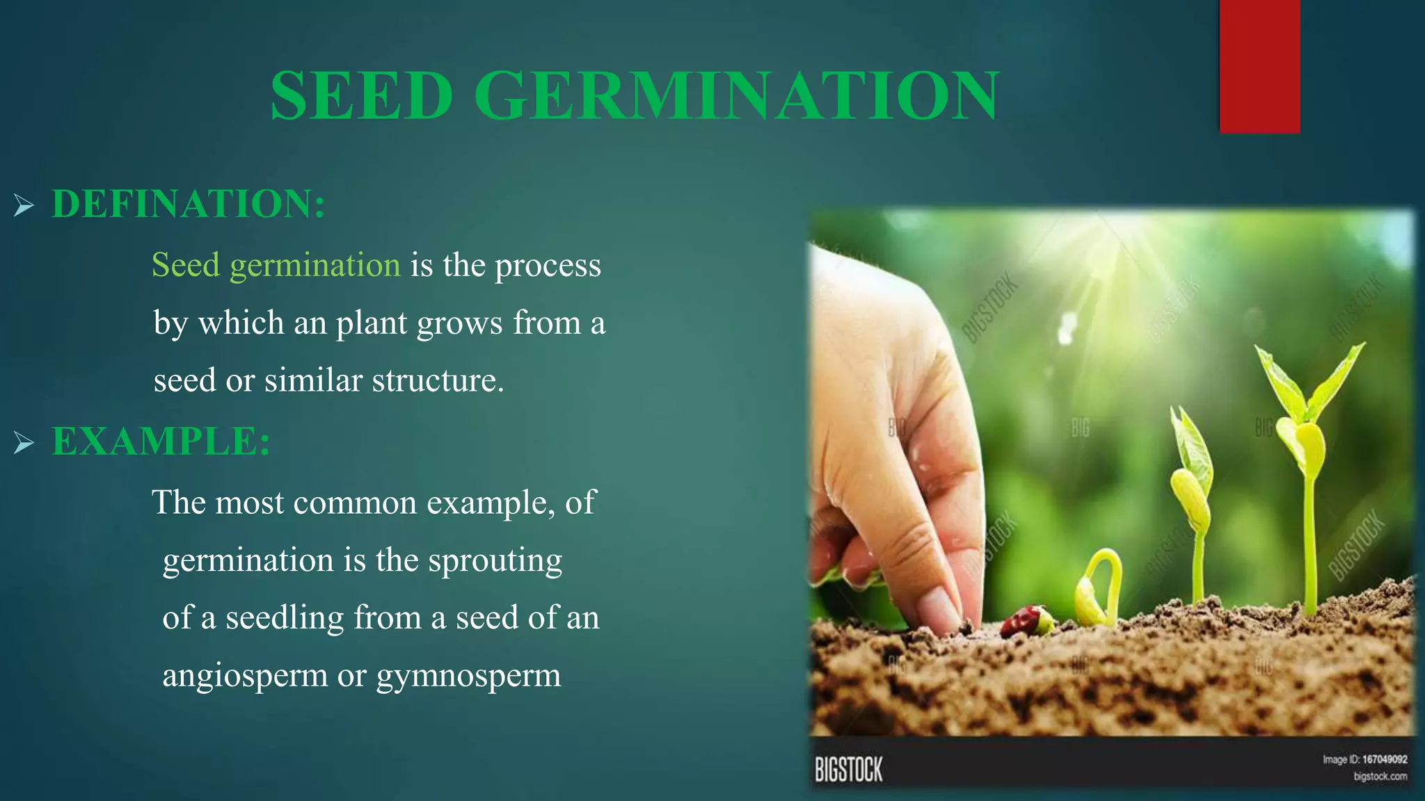 Light and temperature, light and temperature as ecological factors | PPTX