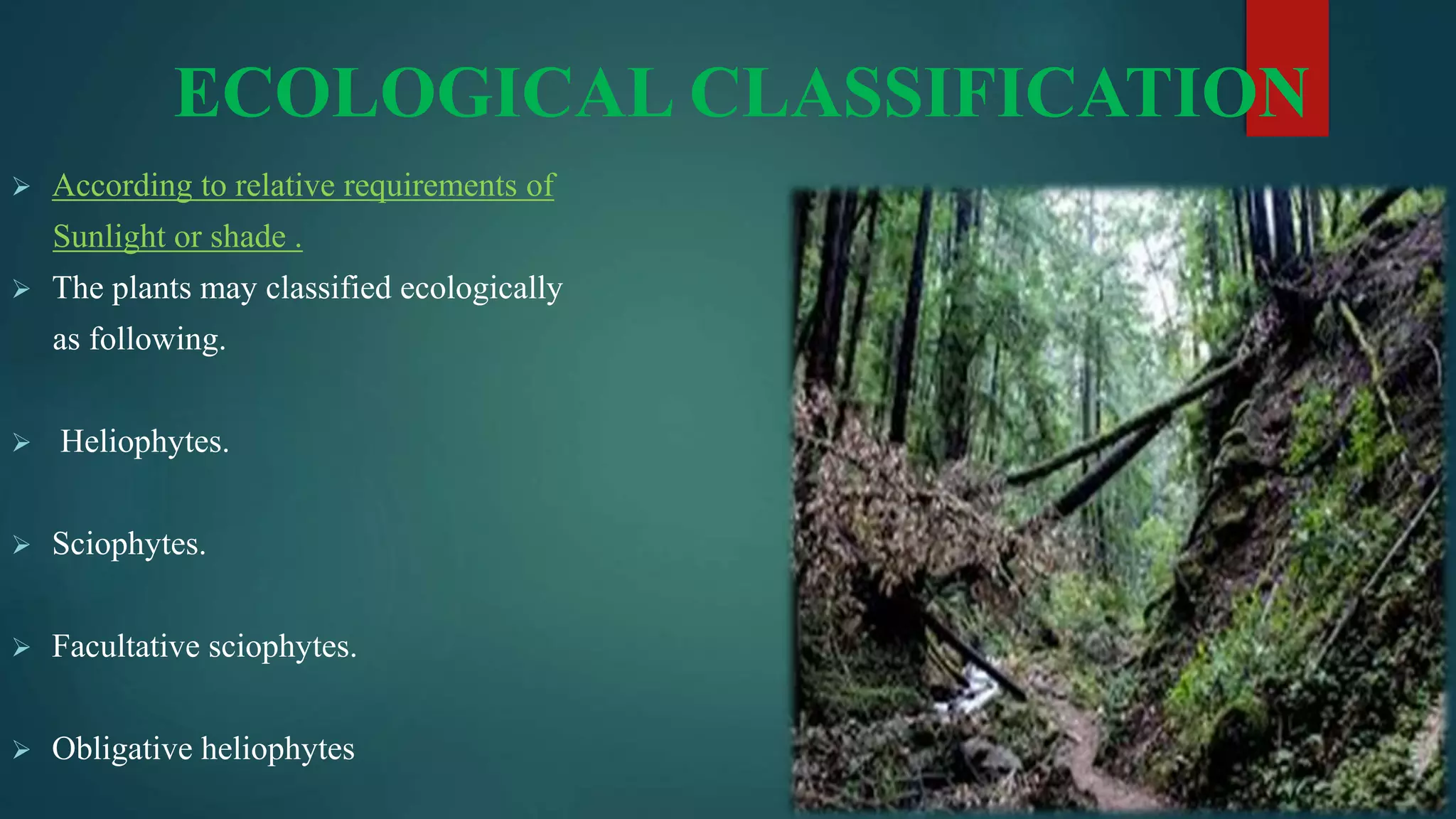 Light and temperature, light and temperature as ecological factors | PPTX