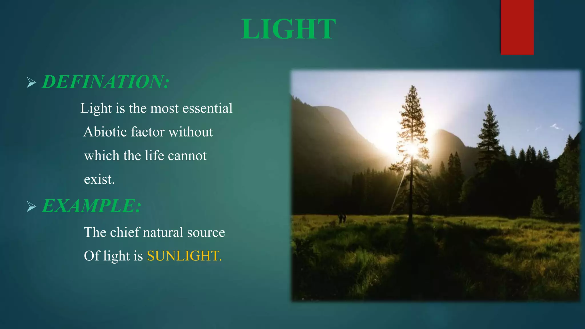 Light and temperature, light and temperature as ecological factors | PPTX