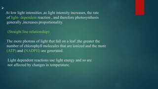 Light and temperature, light and temperature as ecological factors | PPTX
