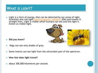 Light and the human eye 2012 | PPTX